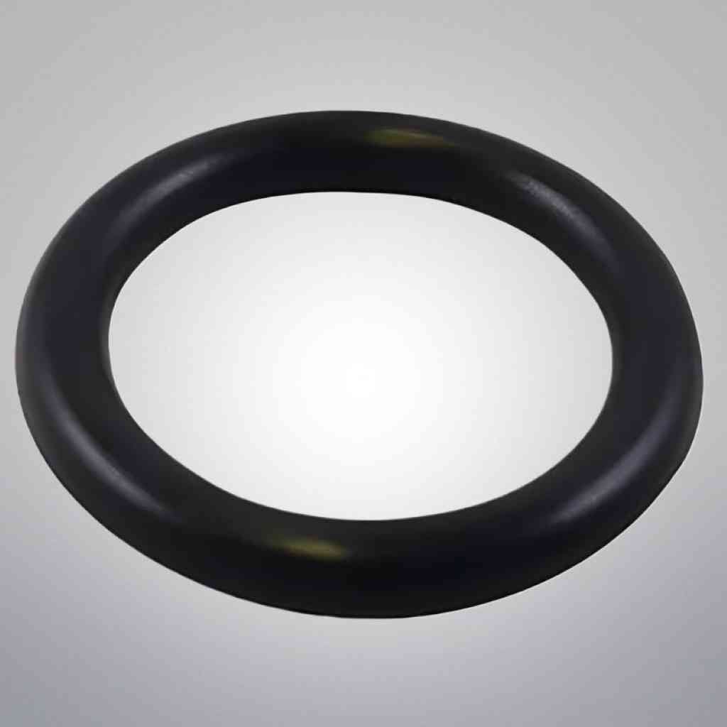 Avanti Mini-Extruder O-rings — Life Sciences Trading