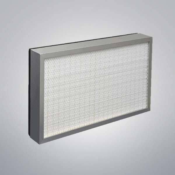 BigNeat Panel HEPA Filter for Safety Hood Cabinet H14 52 x 39 x 3 in ...