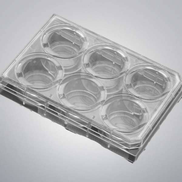 Corning BioCoat Gelatin Microplate — Life Sciences Trading
