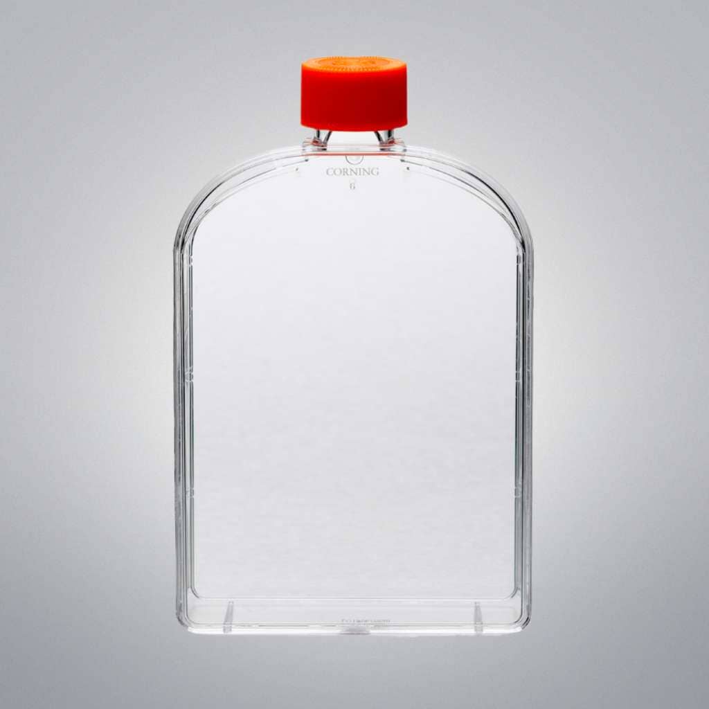Corning Culture Flask 175 cm2 Vented Cap Angled Neck Sterile — Life ...