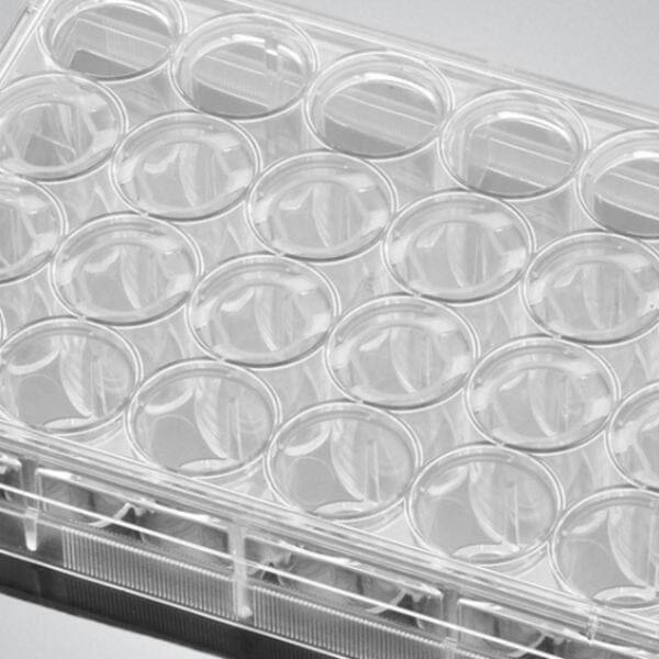 Corning Microplate 24-Well Culture Plates — Life Sciences Trading