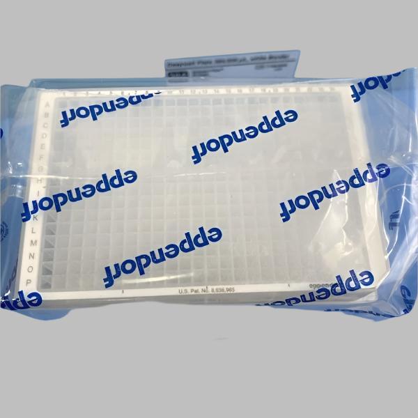 Eppendorf 951031003 Microplate Deepwell 384 Well PCR Clean - Box of 40 ...
