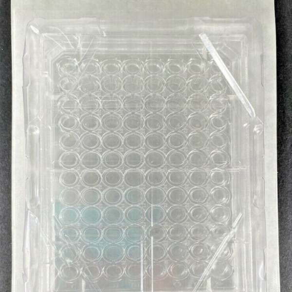 Falcon Culture Plate with Lid 96-Well Flat Bottom — Life Sciences Trading