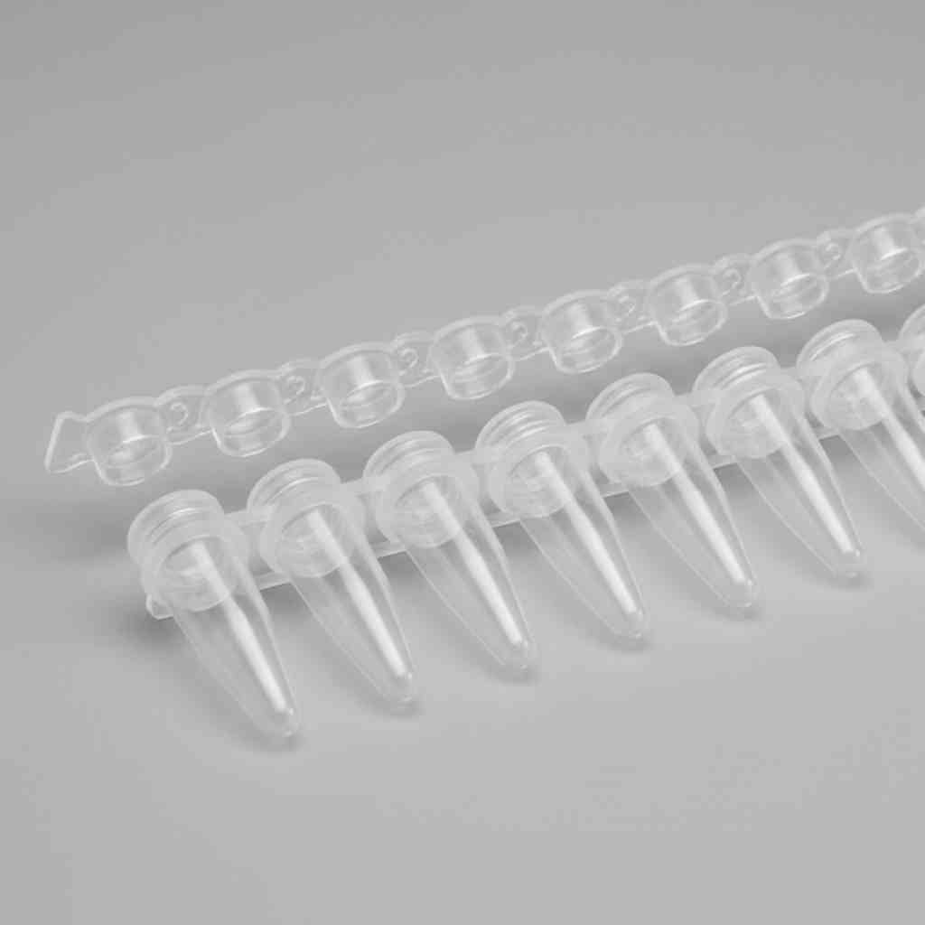 Tira de 8 tubos con tapas Fisher Scientific de 0,25 ml — Life Sciences ...