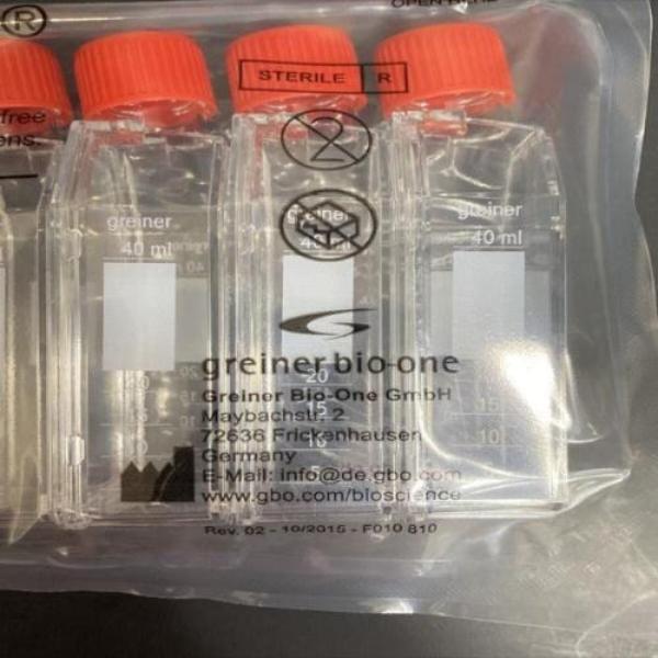 Greiner Bio-One Culture Flask 50ml with Screw Cap Sealed — Life ...