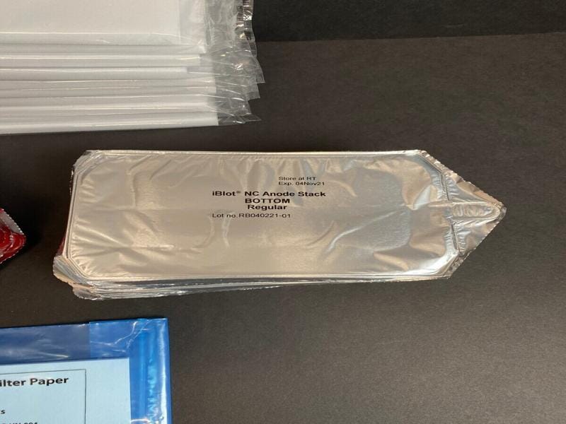 Invitrogen iBlot Transfer Stack Regular Size 10 Nitrocellulose — Life ...