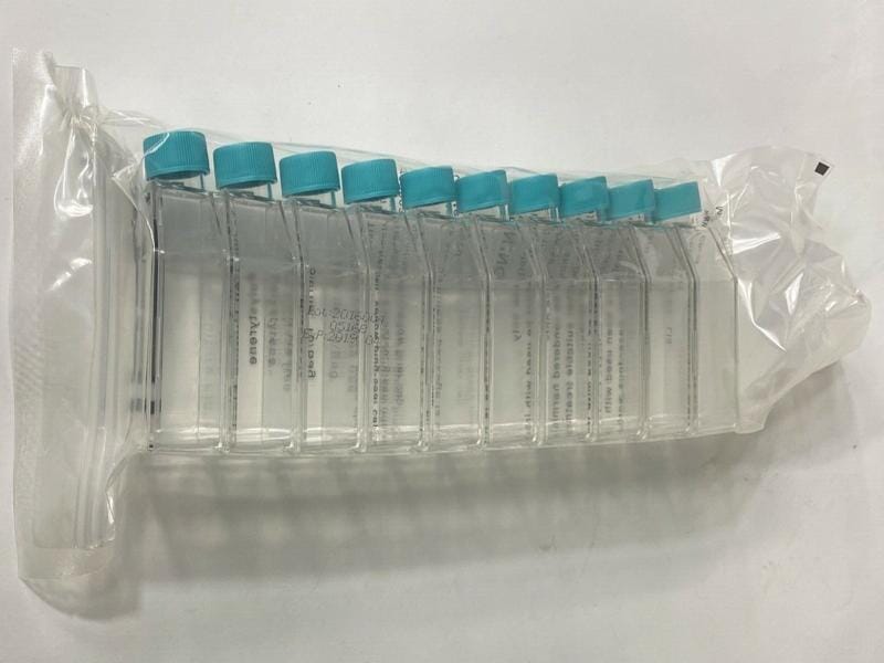 Nest Culture Flask 25 cm2 Vent Cap 7.5 ml PS Sealed Total of 170 Flasks ...