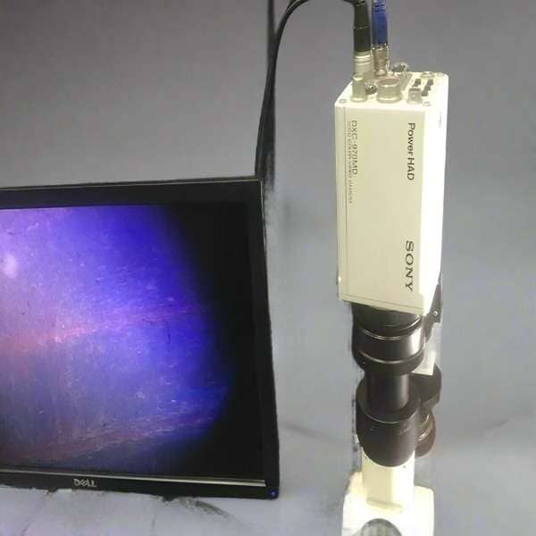 Sony VanGuard Video Microscope System Scope Camera Display — Life ...