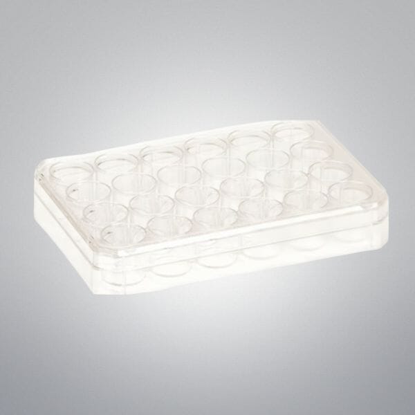 Thermo Scientific Microplate 24 Well 1 ml Polystyrene — Life Sciences ...