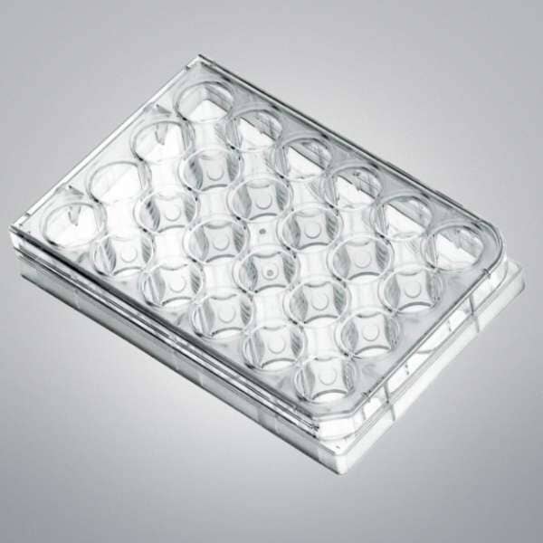 Thermo Scientific Microplate Nunclon Sphera 24-Well Microdish — Life ...