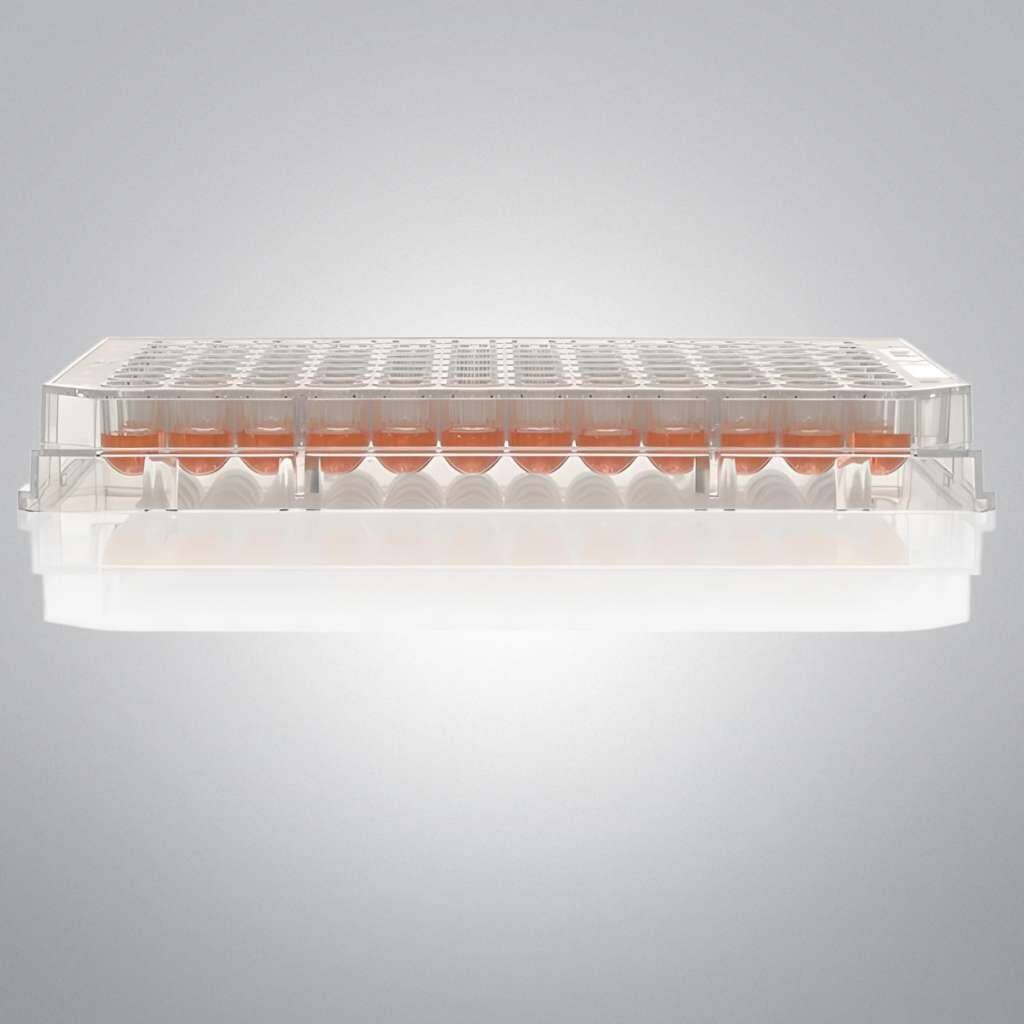 Thermo Scientific Microplate with Lid — Life Sciences Trading