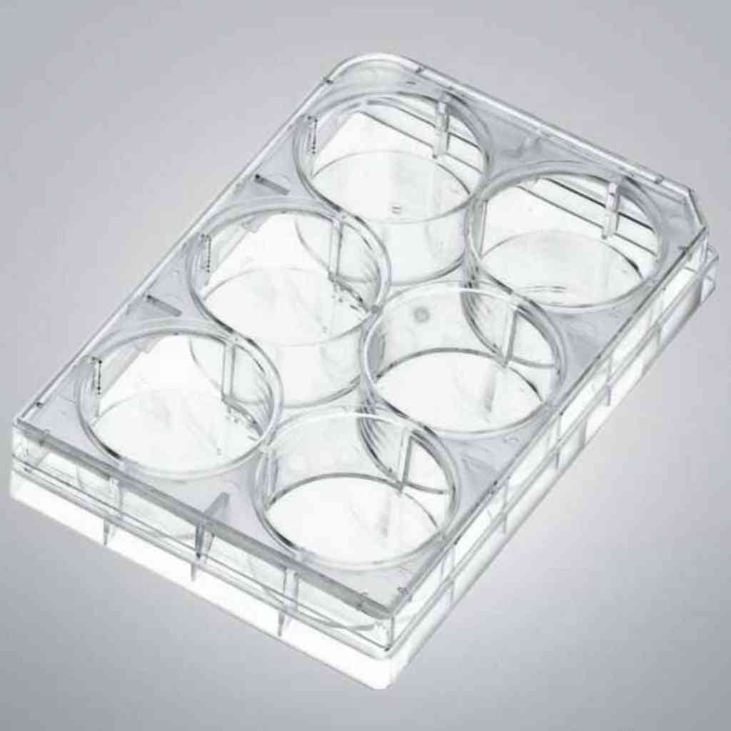 VWR Microplate 6 Well Individually Sealed — Life Sciences Trading
